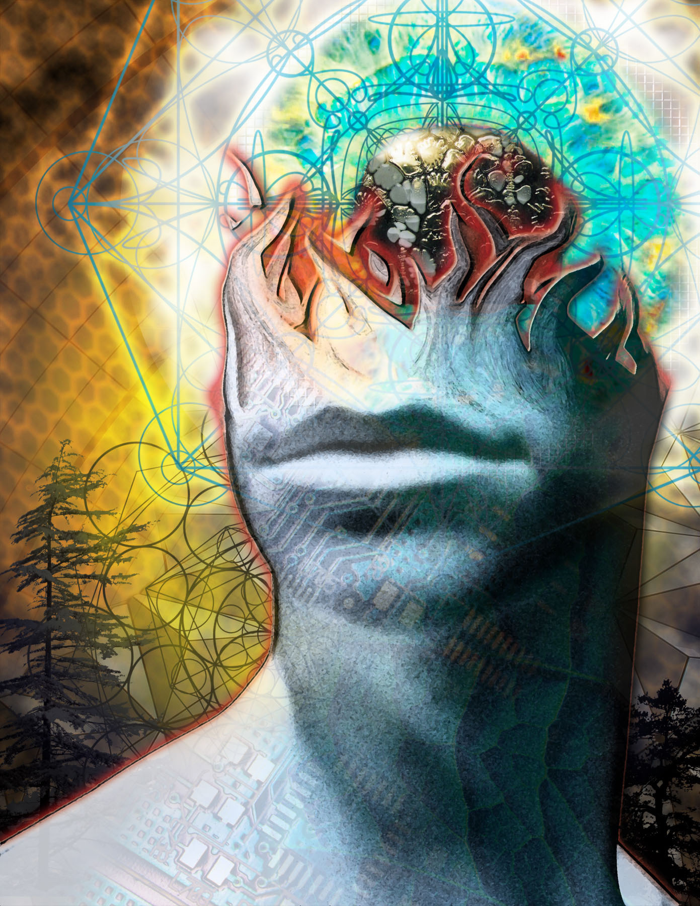 Wax - Member Art Galleries - Welcome to the DMT-Nexus